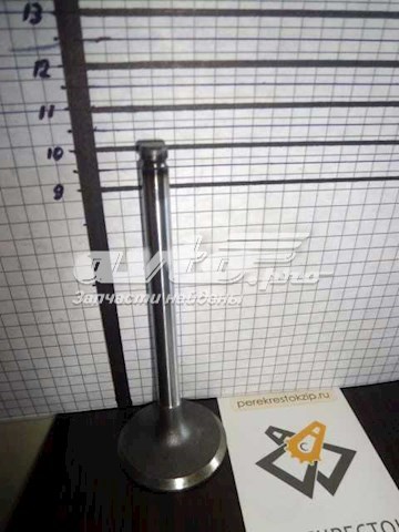 25192555 Shinhan клапан выпускной