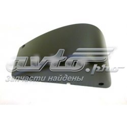 504369796 Iveco корпус дзеркала заднього виду