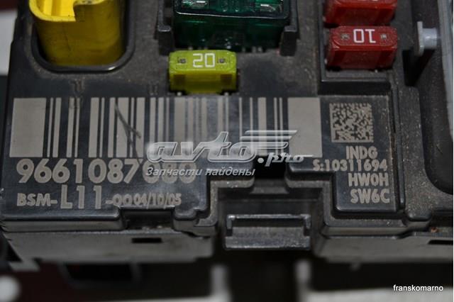 9661087080 Peugeot/Citroen