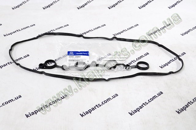 2244125001 Hyundai/Kia прокладка клапанной крышки двигателя, комплект