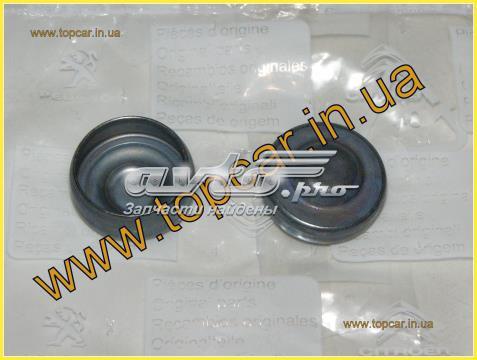 016782 Peugeot/Citroen заглушка металлическая peugeot: \ citroen: