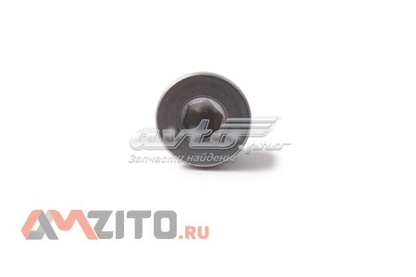 WHT003487 VAG заглушка нарiзна