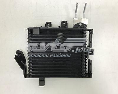 216069PF0A Nissan радиатор инвертора