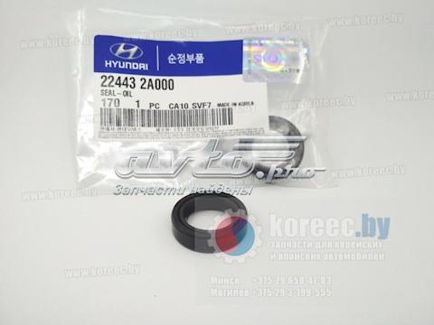 224432A000 Hyundai/Kia уплотнительное кольцо блока цилиндров