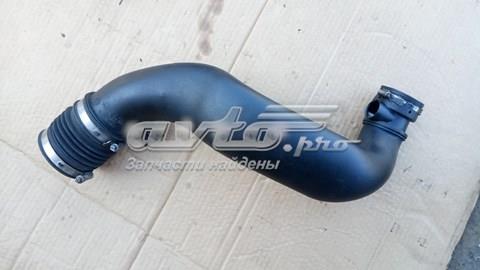 53013672AD Chrysler шланг