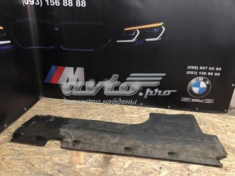 51757207267 BMW защита днища левая