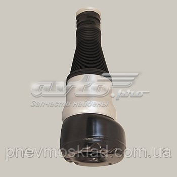 A2223206001 Mercedes | Амортизатор задний правый A2223206001 купить на ...