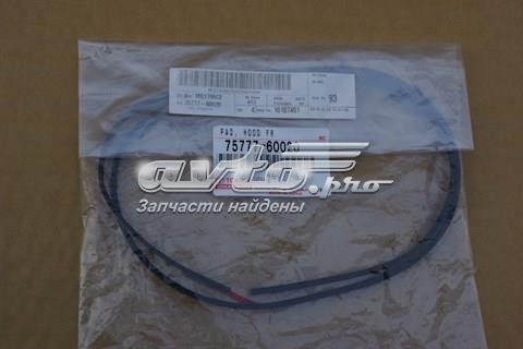7577760020 Toyota уплотнитель молдинга капота