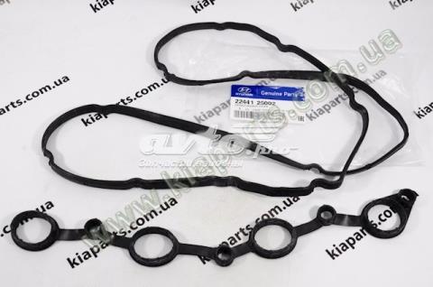 2244125002 Hyundai/Kia прокладка клапанной крышки двигателя, комплект