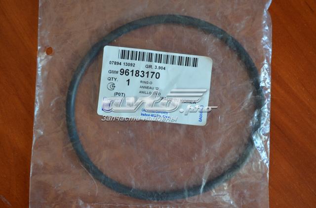 96183170 General Motors прокладка датчика уровня топлива / топливного