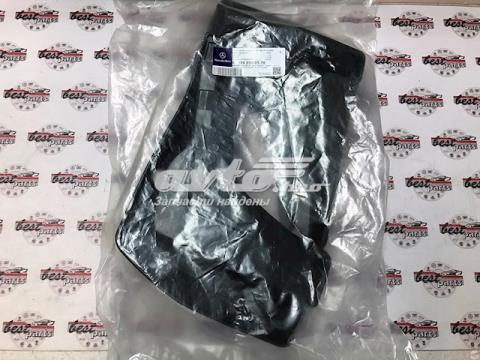 A1668900578 Mercedes брызговики передние, комплект (Под подножку)