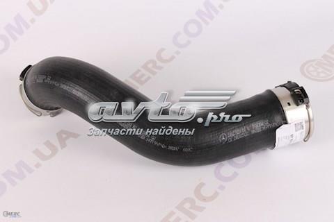 A1665280082 Mercedes шланг