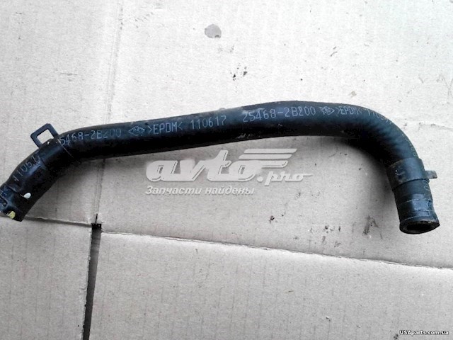 254682B200 Hyundai/Kia шланг системи охолодження двигуна "a"