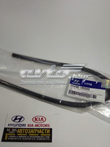 254401R000 Hyundai/Kia крышка (пробка расширительного бачка)