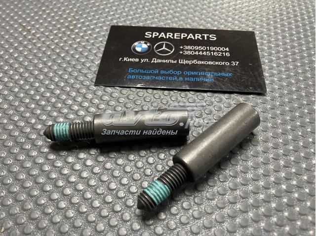 11317584170 BMW болт натяжителя цепи грм
