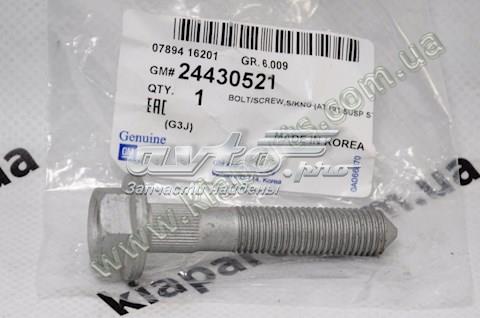 24430521 General Motors болт