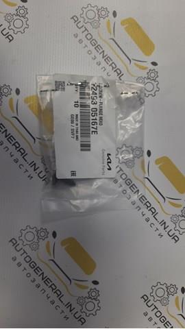 1249305167E Hyundai/Kia Пистон (клип) крепления бампера переднего