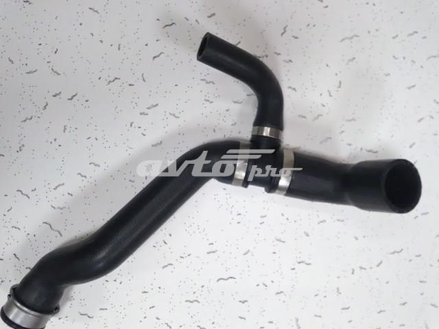 A1645004875 Market (OEM) шланг (патрубок радиатора охлаждения нижний)