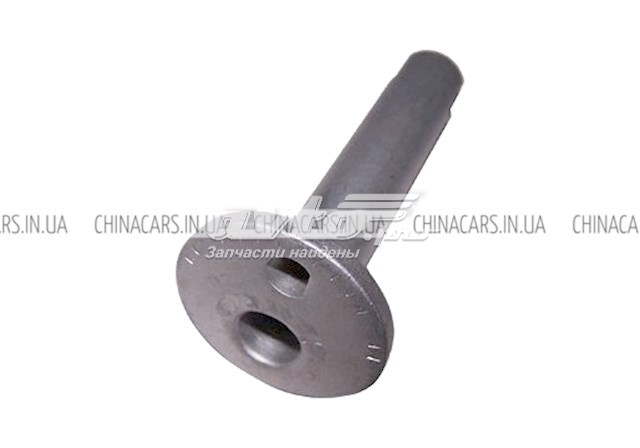 T11-2919033BA Chery болт заднего продольного рычага (развальный)
