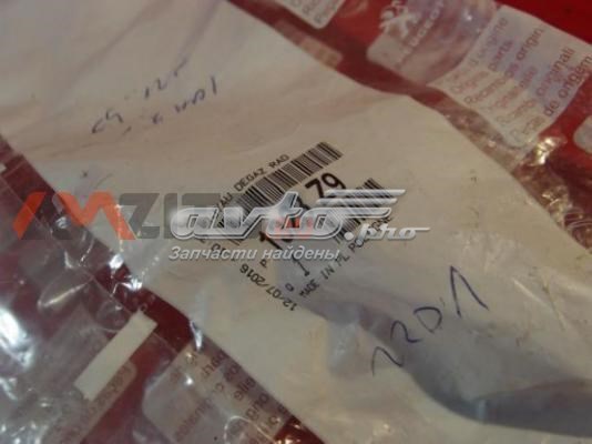 1323Z9 Peugeot/Citroen трубка пароотвода расширительного бачка