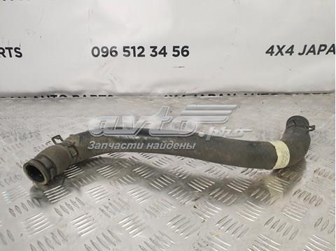 254112B100 Hyundai/Kia шланг (патрубок радиатора охлаждения верхний)