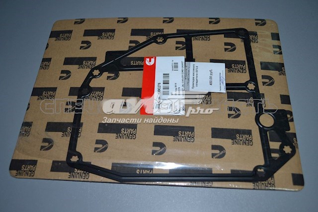 4990276 GAZ junta, radiador de aceite