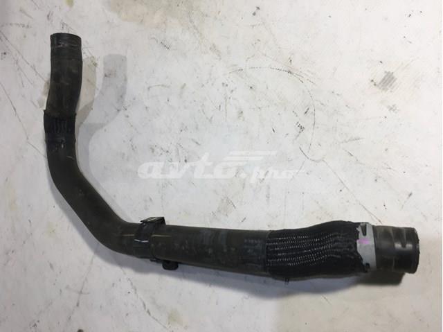 215013TA0A Nissan шланг радиатроа
