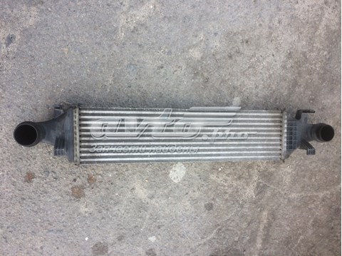 A2465000900 Mercedes радиатор интеркуллера
