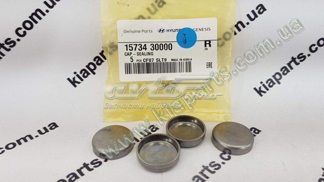 1573440000 Hyundai/Kia заглушка гбц/блока цилиндров