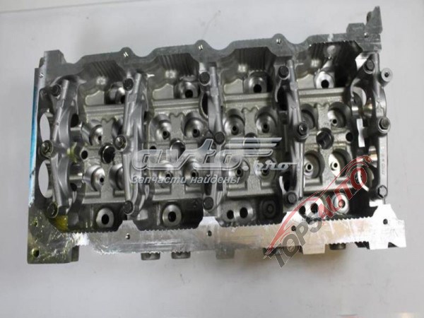 110405X00A Nissan головка блока цилиндров (гбц)