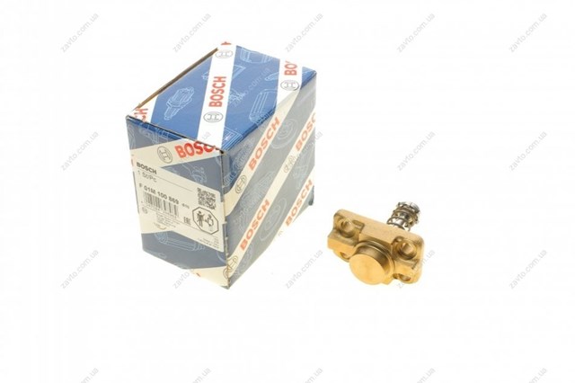 F 01M 100 869 Bosch плунжерная пара тнвд