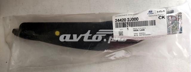 244302J000 Hyundai/Kia напрямна ланцюга приводу