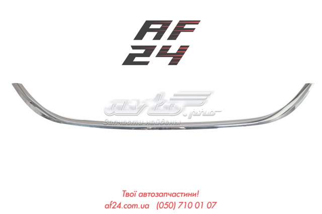 735637924 Chrysler молдинг решетки радиатора нижний