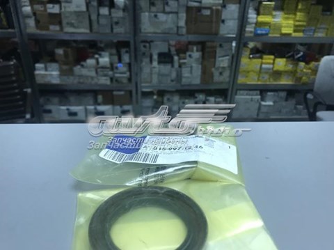 0159971246 Mercedes сальник акпп/кпп (выходного/вторичного вала)