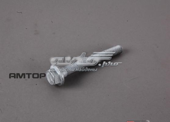 N10640301 VAG болт крепления заднего нижнего рычага, наружный