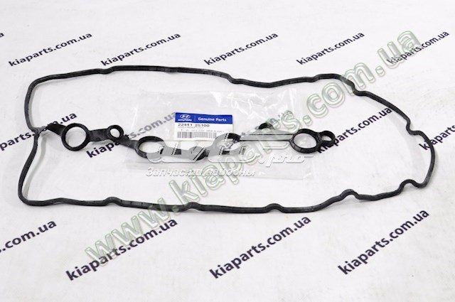 2244125100 Hyundai/Kia прокладка клапанной крышки двигателя