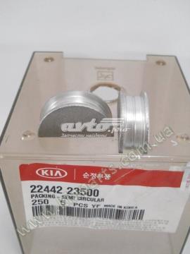 2244242001 Hyundai/Kia прокладка клапанной крышки двигателя, задний сегмент