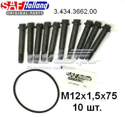 3434366201 SAF 3434366200 рмк диска saf (болти комплект 10шт)
