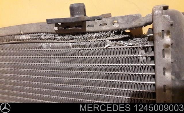 1245009003 Mercedes радиатор охлаждения двигателя