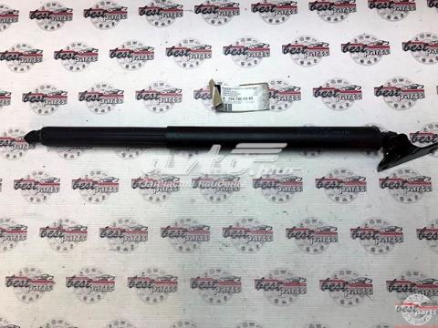 A1647400645 Mercedes амортизатор двери пятой