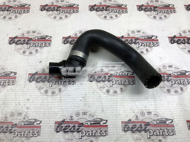 A2218302096 Mercedes шланг (патрубок водяного насоса приемный)