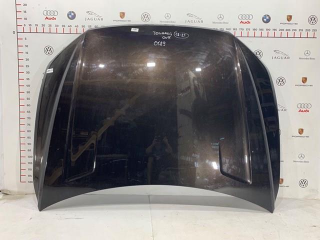 760823031 VAG капот