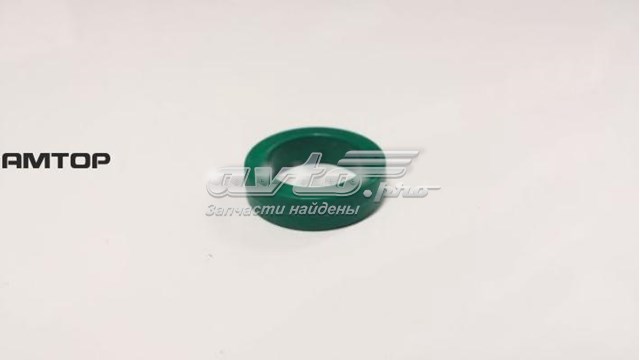 30637865 Volvo кiльце ущiльнювальне p10