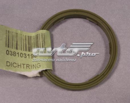 038103196 VAG кольцо уплотнительное