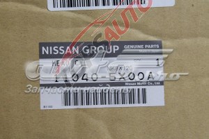 110405X00A Nissan головка блока цилиндров (гбц)