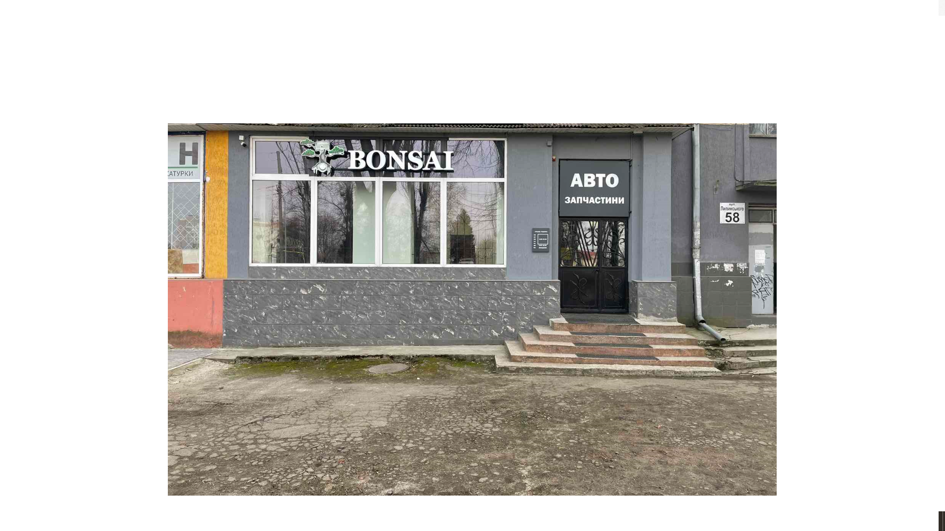 Bonsai: интернет-магазин автозапчастей на Avtopro